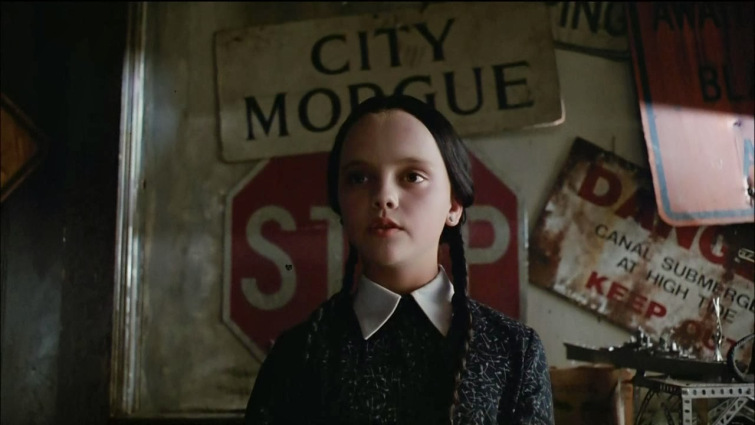 Wednesday Addams: INTJ – The Book Addict's Guide to MBTI: