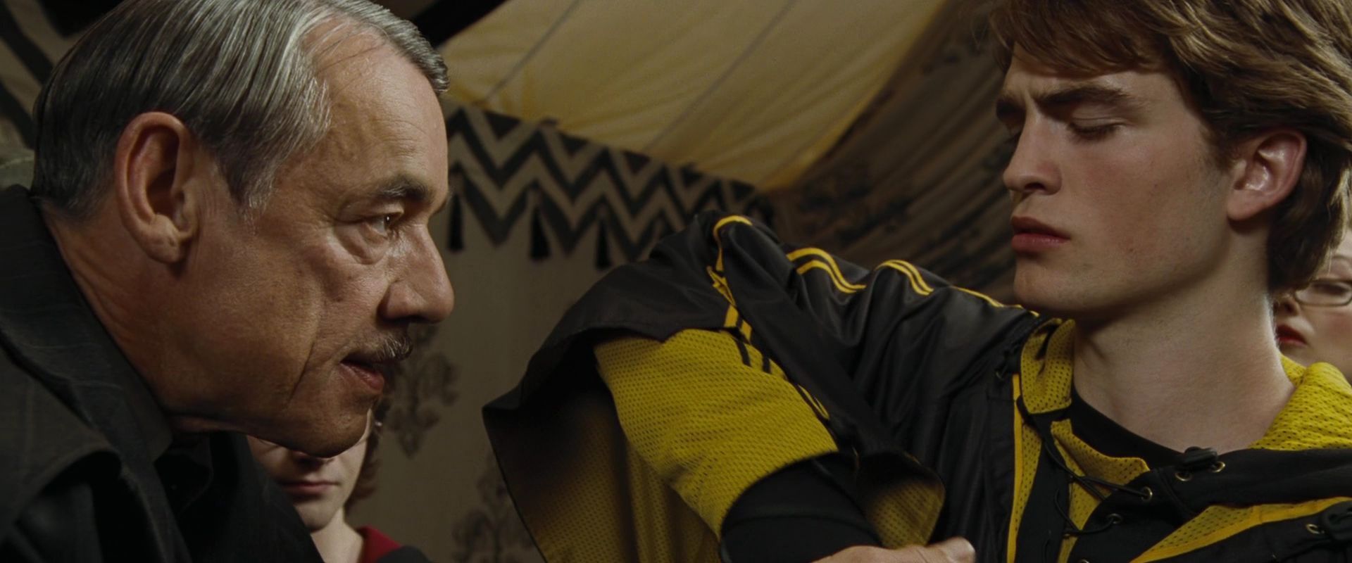 Cedric Diggory: ISFJ – The Book Addict's Guide to MBTI: