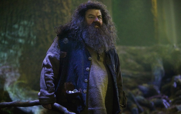 Rubeus Hagrid: ISFP – The Book Addict's Guide to MBTI: