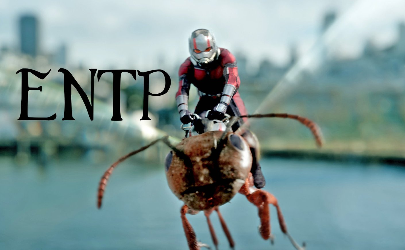 ENTP – The Book Addict's Guide to MBTI: